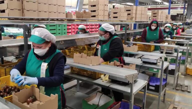 Desconvocada la huelga del sector de manipulado tras alcanzar un acuerdo salarial — Andalucía ...